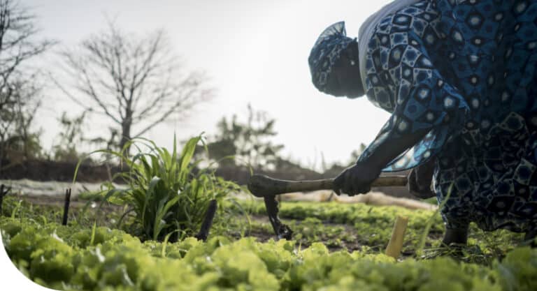 Crypto Giving for Environmental Impact - Planting Trees