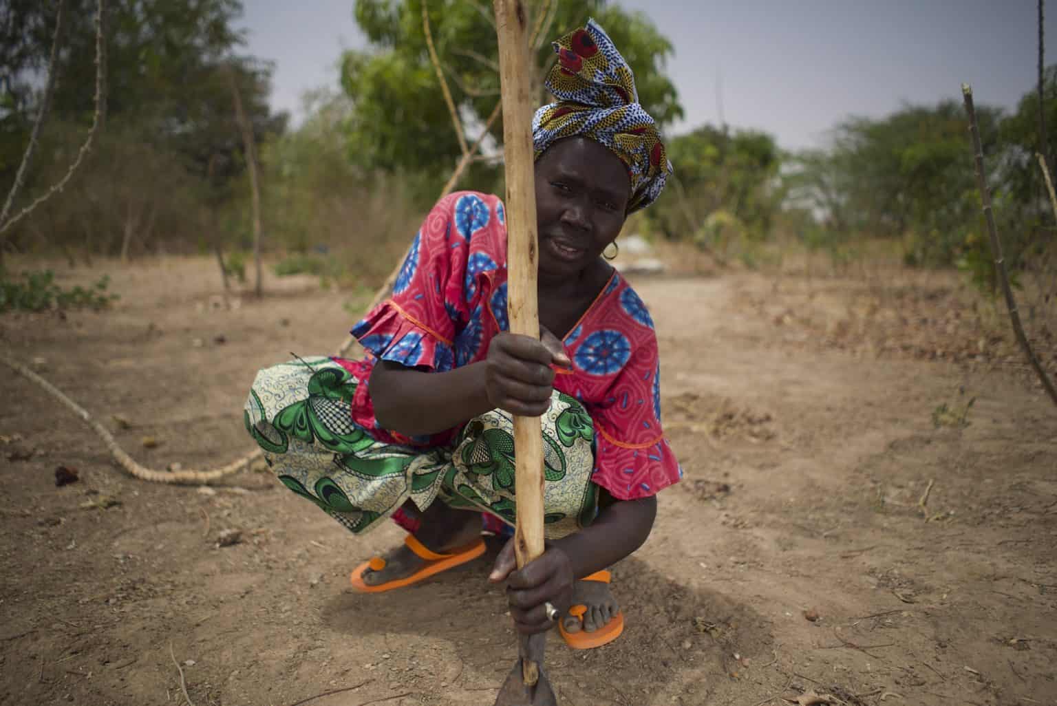 Trees for the Future | Planting Today for a Greener Tomorrow