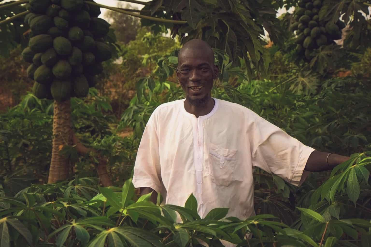 Trees for the Future | Planting Today for a Greener Tomorrow