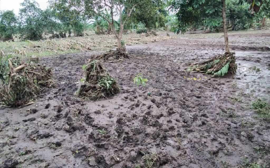 Floods and Landslides in Uganda’s Eastern Region Wreak Havoc