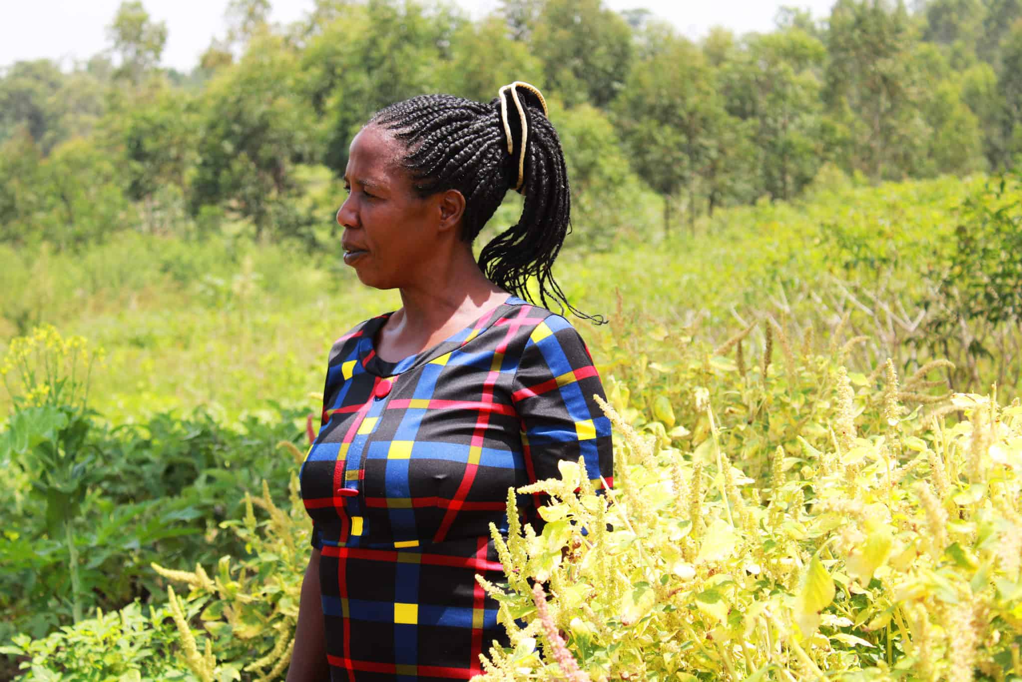 Determination is Power for Christine Akello - Trees for the Future