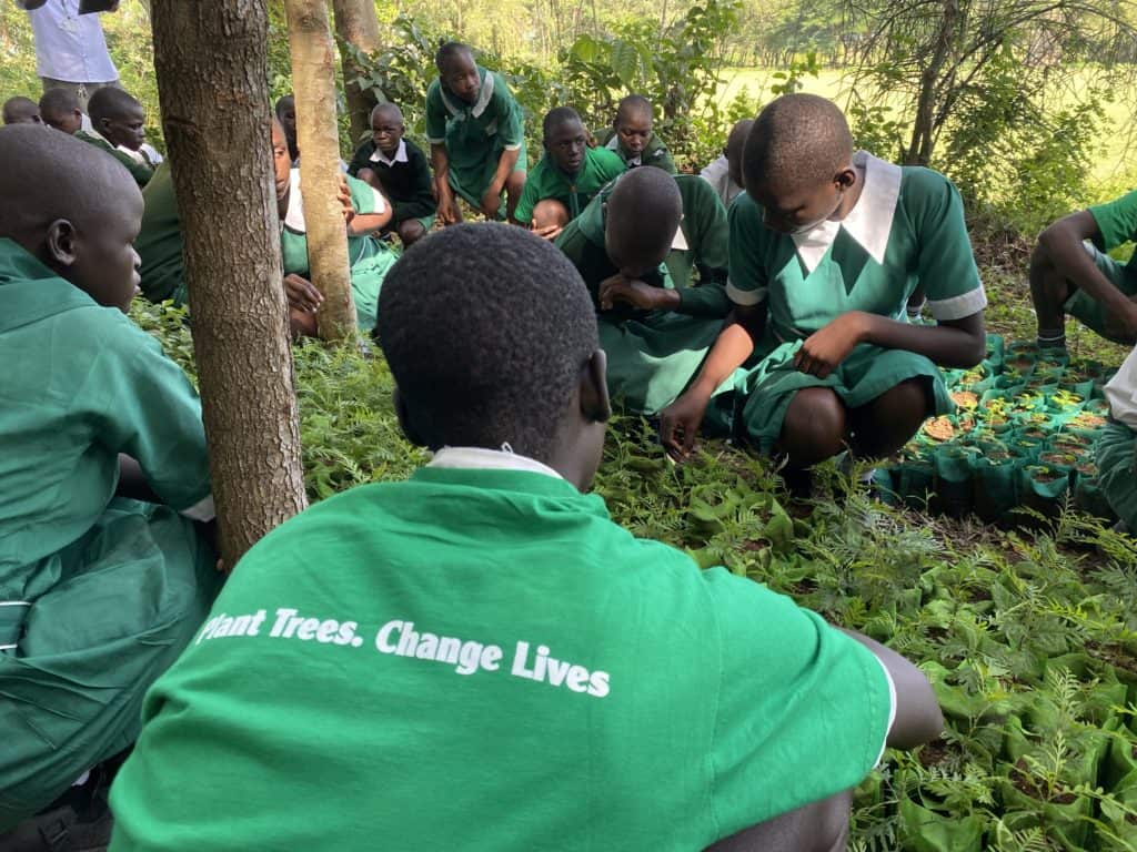 Kenyan Scouts Reach 3 Million Trees Planted - Trees for the Future