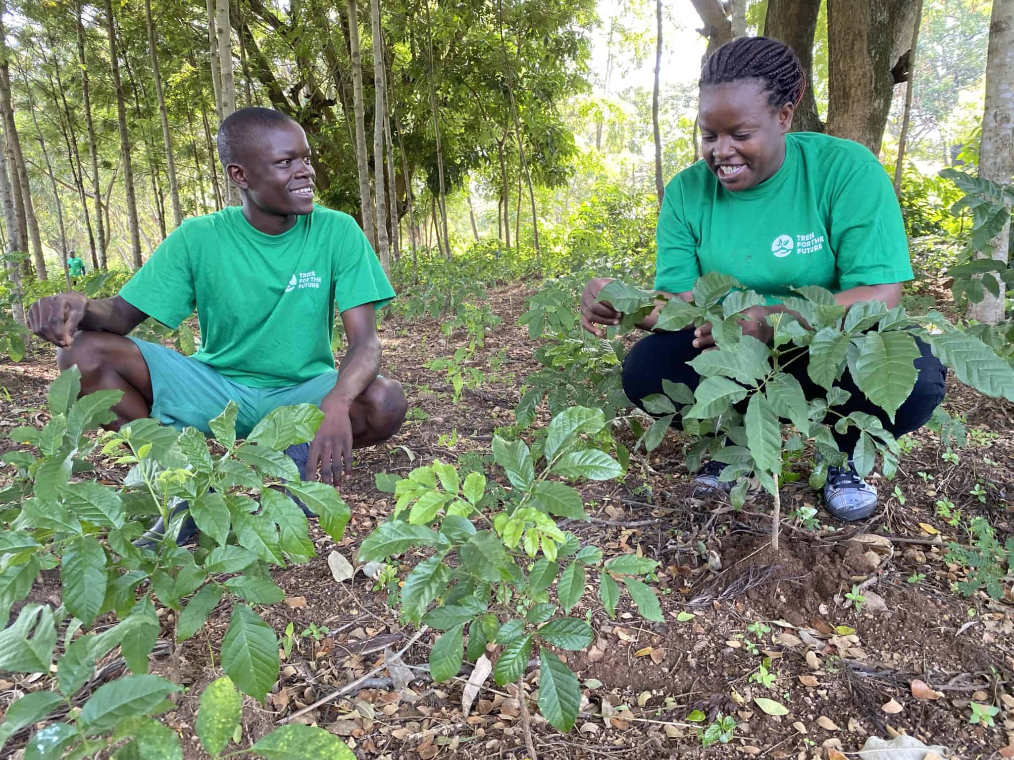 Kenyan Scouts Reach 3 Million Trees Planted - Trees for the Future