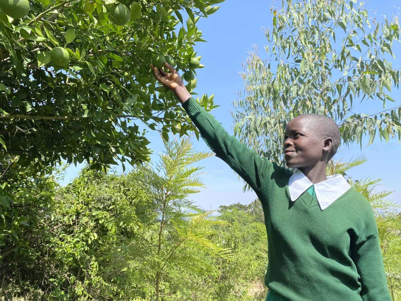 Kenyan Scouts Reach 3 Million Trees Planted - Trees for the Future