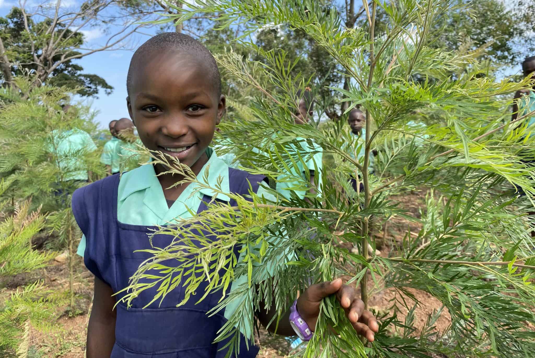 Kenyan Scouts Reach 3 Million Trees Planted - Trees for the Future