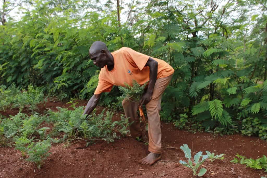 Opportunity is Growing in Busia, Uganda - Trees for the Future