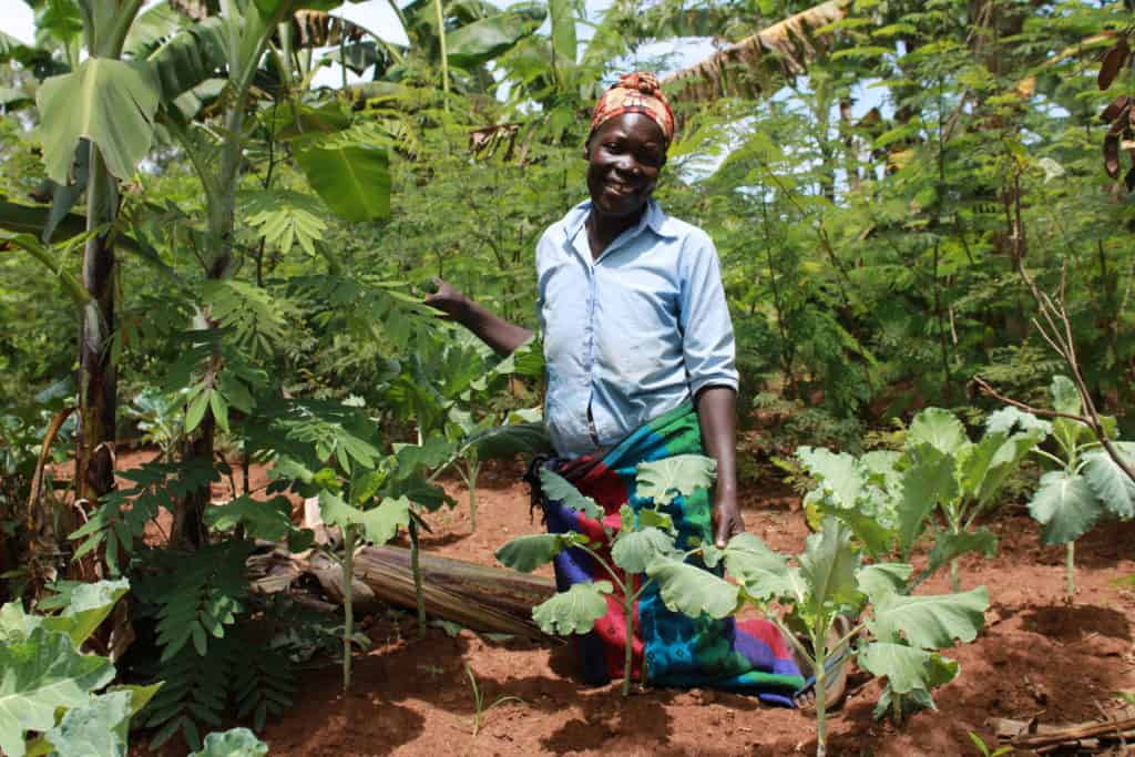 Opportunity is Growing in Busia, Uganda - Trees for the Future