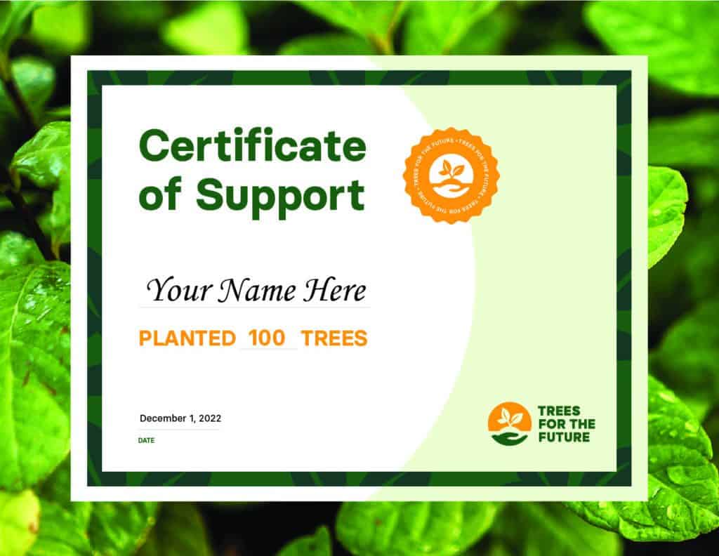 Give the Gift of Trees this Season - Trees for the Future