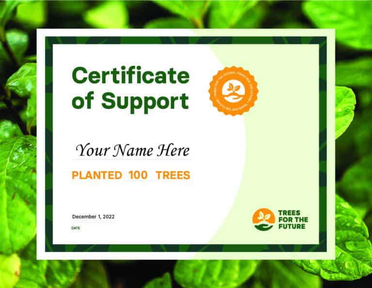 Give the Gift of Trees this Season - Trees for the Future