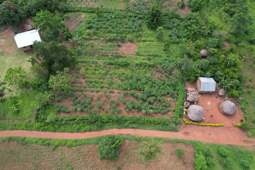 These Drones Are Advancing Environmental Restoration