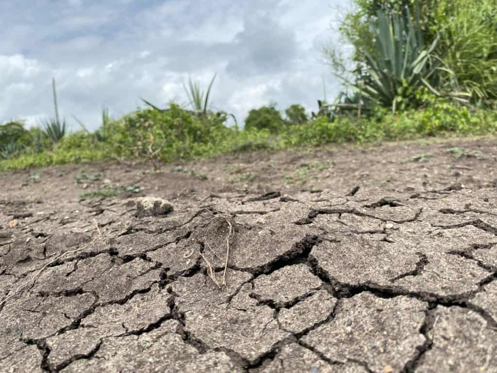 The Connection Between Food Systems and the Environment