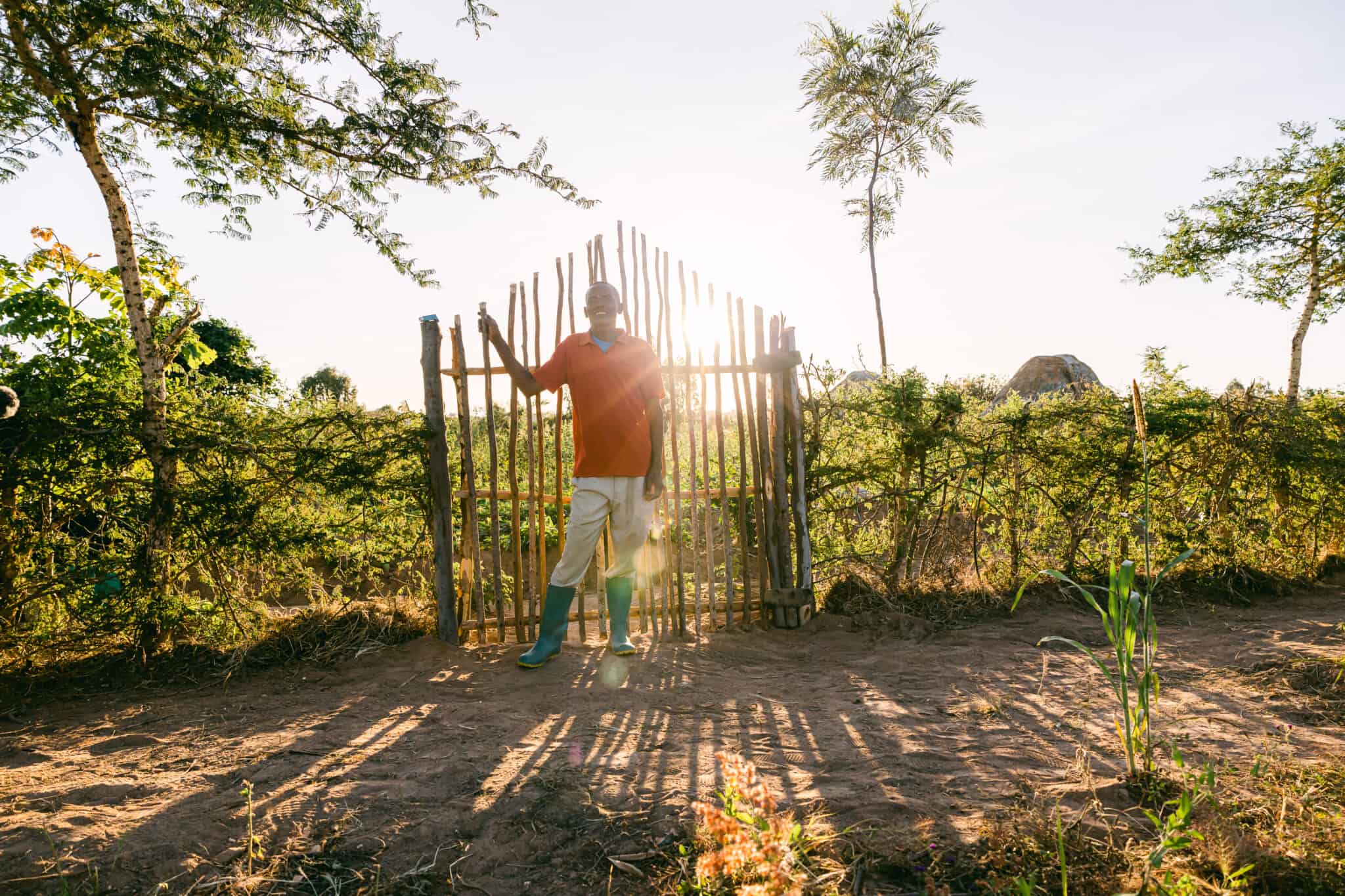 Trees for the Future | Planting Today for a Greener Tomorrow