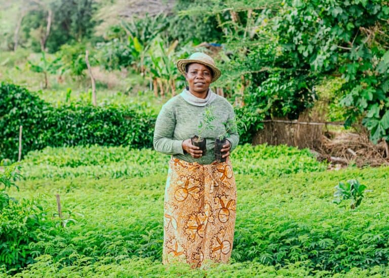 350 Million Trees Planted - Trees for the Future