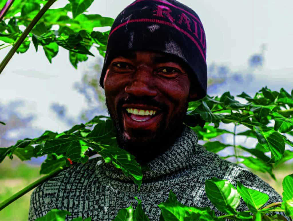 From Degraded Hillside to Thriving Forest Garden - Trees for the Future