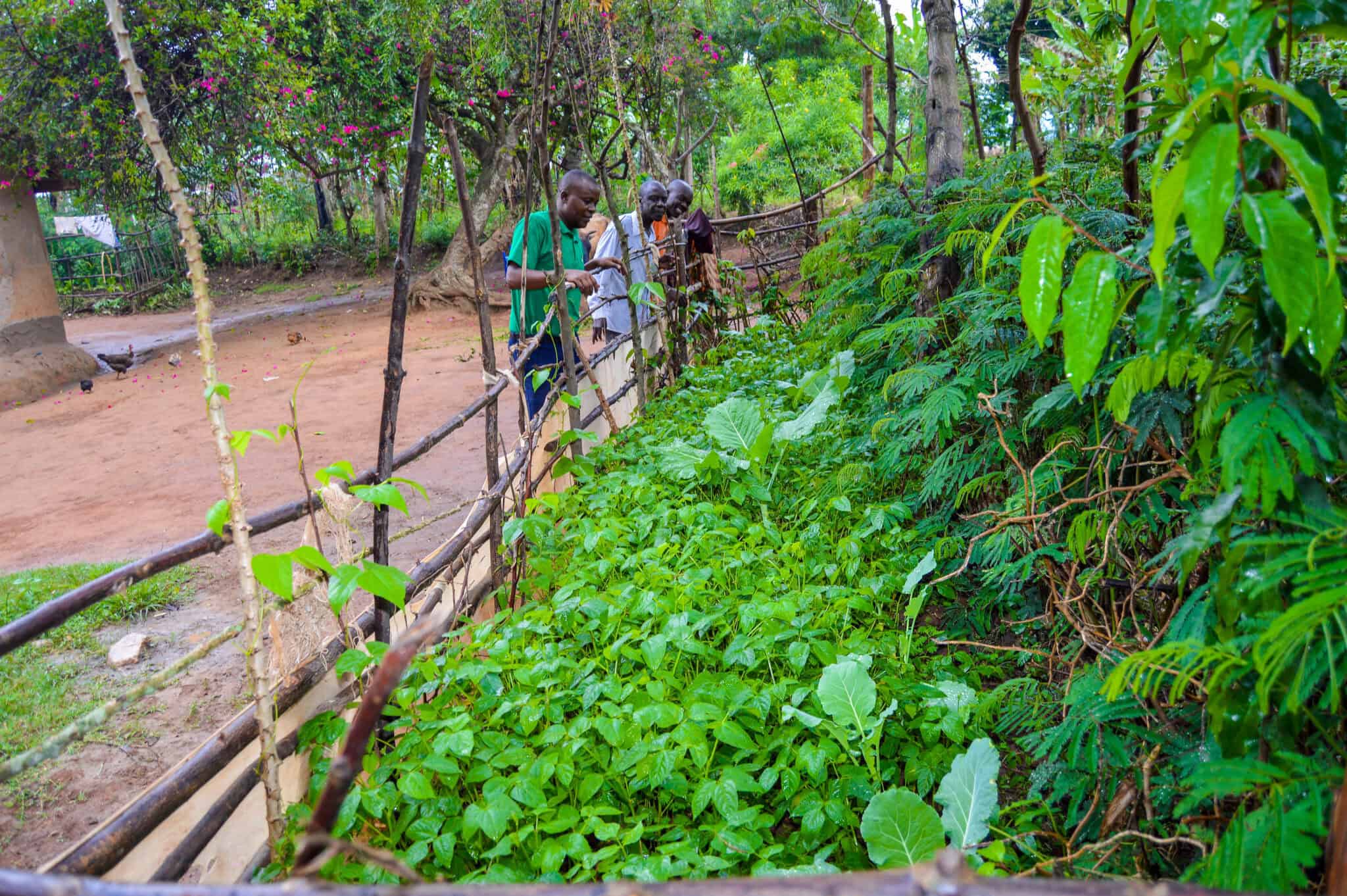 Enoch Makobi's Journey as Uganda Country Director at TREES