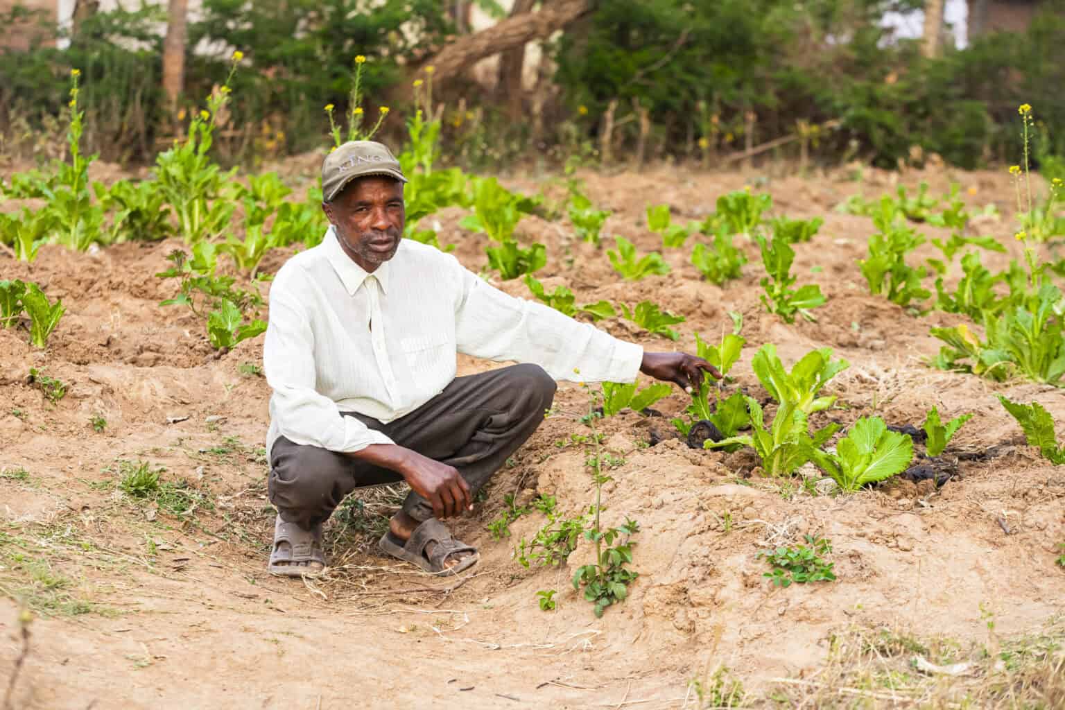 Water Brings Life Back to Tanzania’s Farms